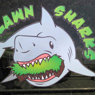 LAWN SHARKS - Project Photos & Reviews - Port Bolivar, TX US | Houzz