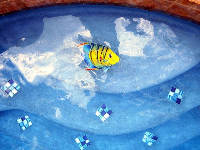 Banded Angel Fish Ceramic Swimming Pool Mosaic, 9"x10" right - Beach ...