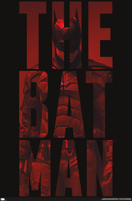 DC Comics The Batman - Text, 22.375" x 34" - Contemporary - Prints And ...