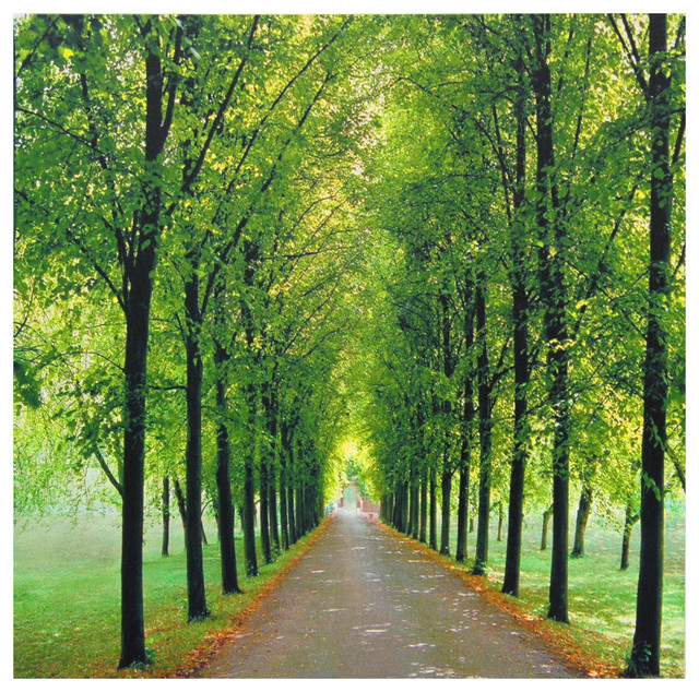 Path of Life Canvas Wall Art - Contemporary - Prints And Posters - by ...