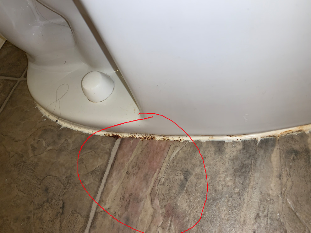 What is this red and black color on toilet floor? | Houzz Forum