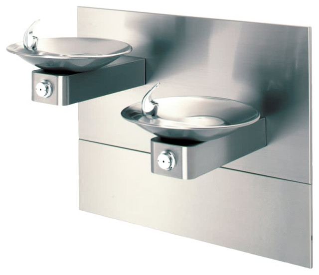 Haws 1011MS Hi-Lo Barrier-Free - Transitional - Outdoor Fountains And ...