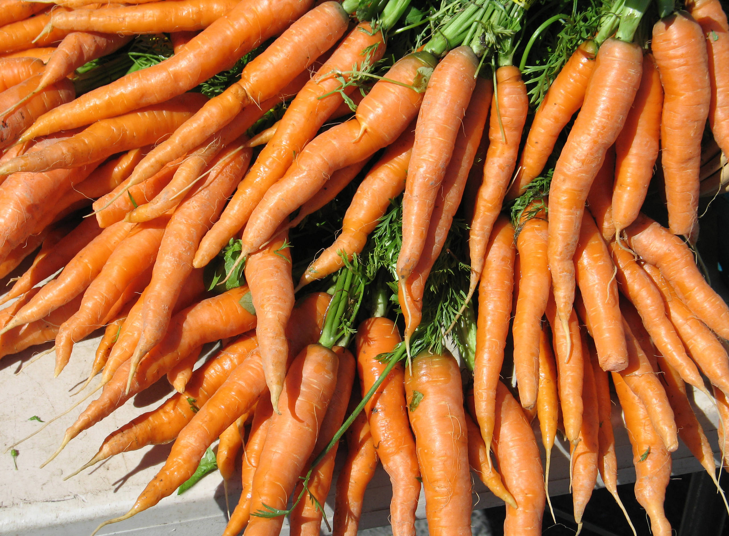 Cool Season Vegetables How to Grow Carrots