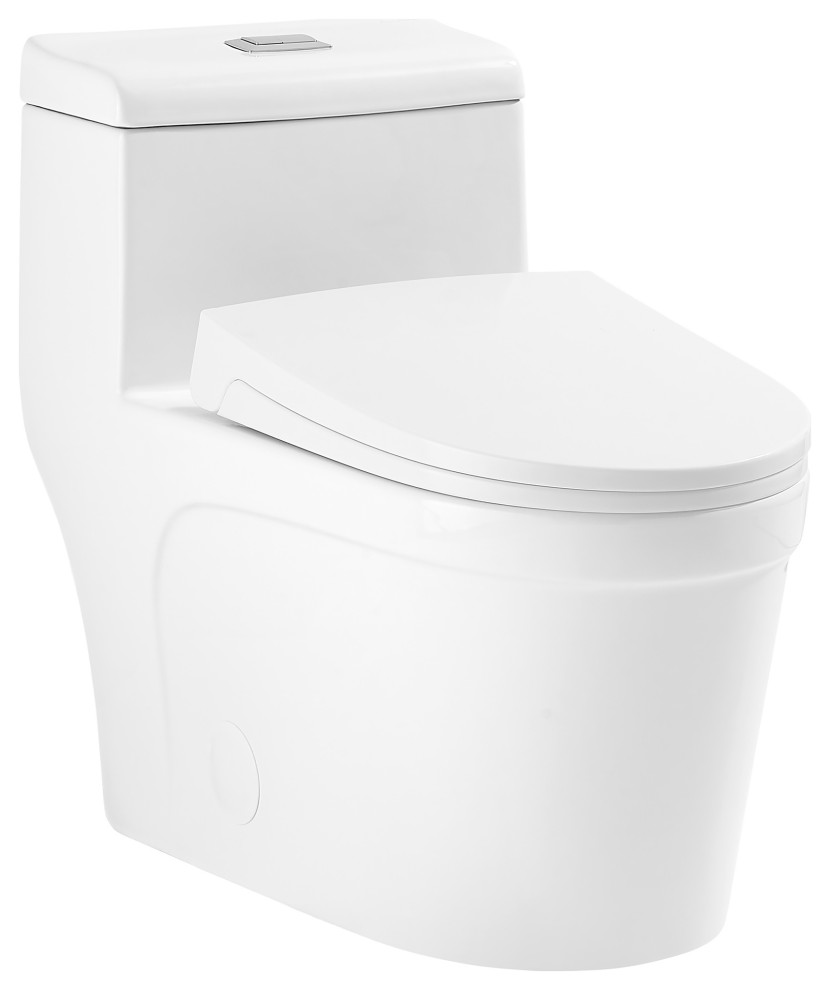 Cannes One-Piece Elongated Toilet Vortex Dual-Flush 1.1/1.6 gpf ...