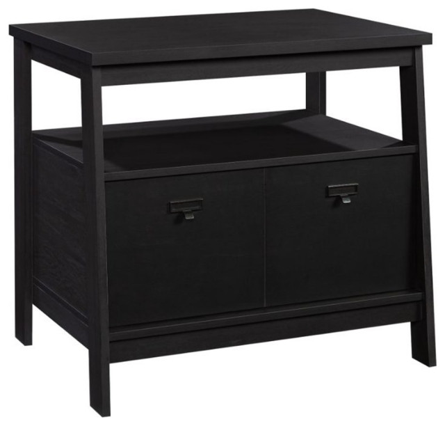 Pemberly Row Engineered Wood Lateral File Cabinet in Raven Oak Finish ...