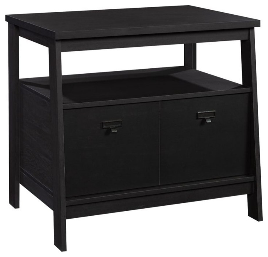 Pemberly Row Engineered Wood Lateral File Cabinet in Raven Oak Finish ...