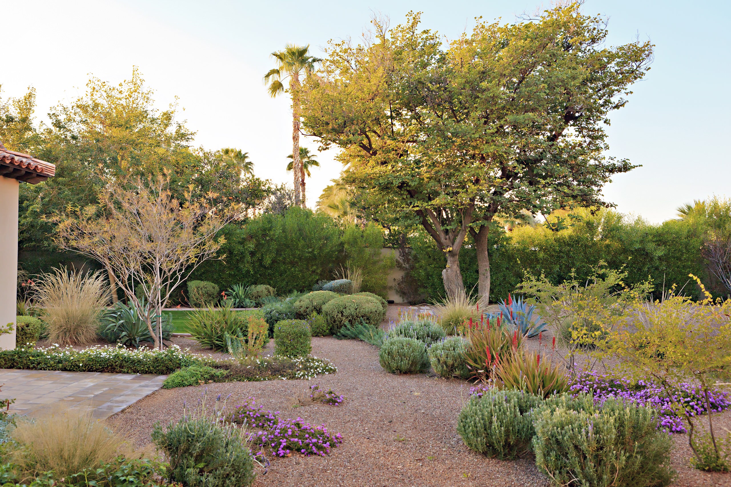 8 Colorful Drought-Tolerant Landscape Designs