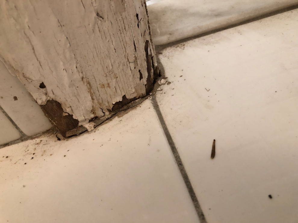 Rotten Door Frame Repair