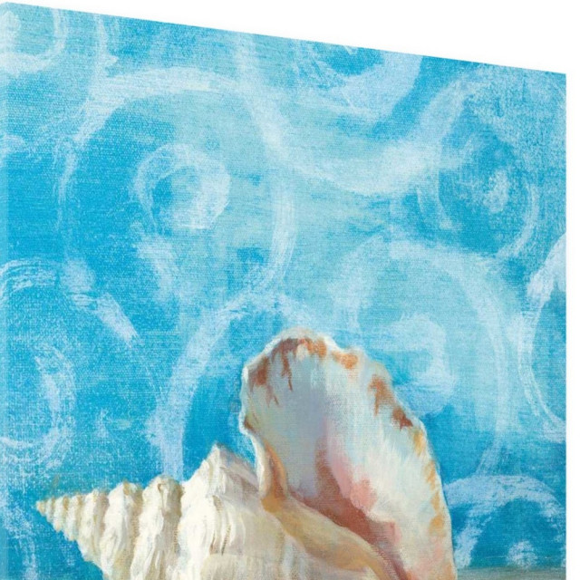 20" Mod Blue Scroll Coastal Conch 4 Giclee Wrap Canvas Wall Art - Beach ...