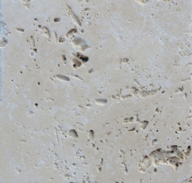 Durango Travertine Tiles, Tumbled Finish, Sample - Traditional - Wall ...