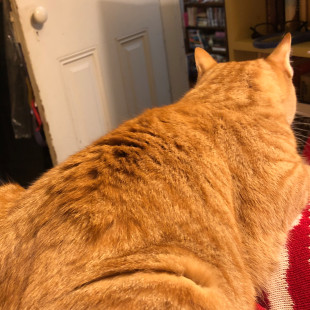 THE BOTTOM LINE INC. - Project Photos & Reviews - PHILADELPHIA, PA US ...