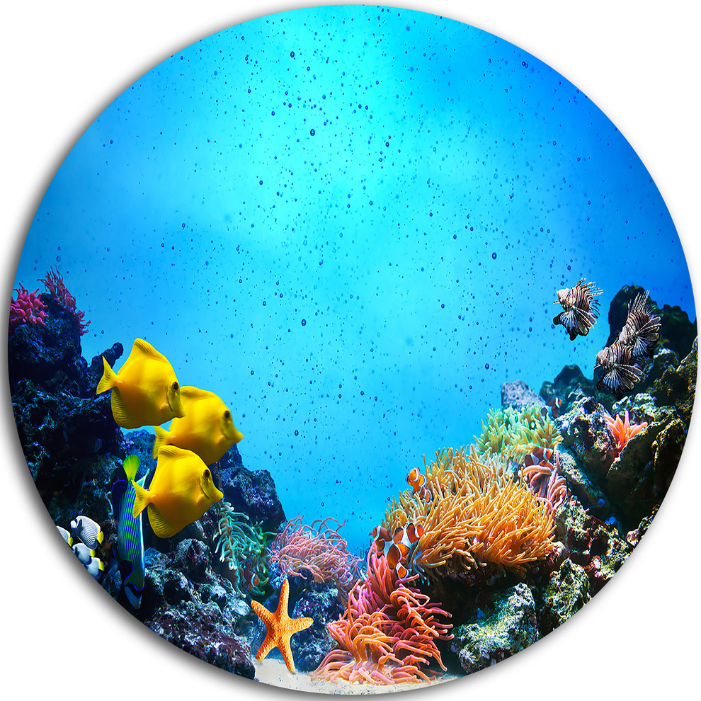 Underwater Scene, Seascape Photography Disc Metal Artwork, Disc of 38 ...