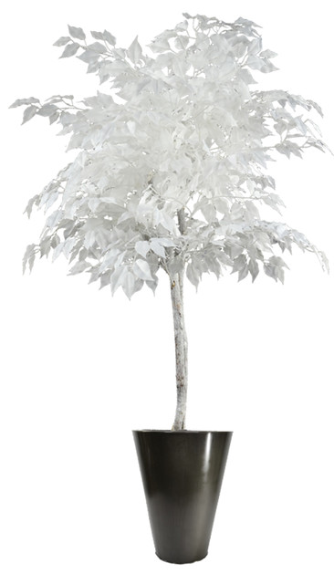 6' White Ficus Tree, Round Zinc (3086) - Contemporary - Artificial ...