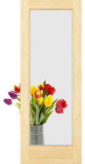 1-Lite Clear Glass French Door, Unfinished, 24"x80"x1.375 ...