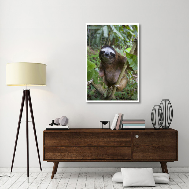 "Brown-throated 3-toed Sloth male, Aviarios Sloth Sanctuary" Paper Art ...