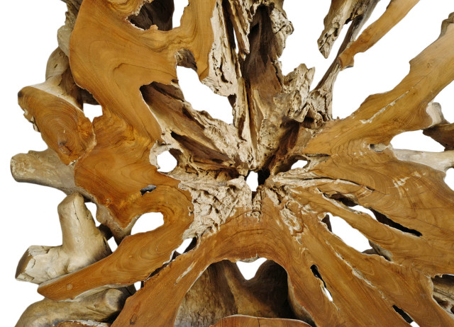 Large Organic Teak Root Form - Rustic - Sculptures - by Design Mix ...