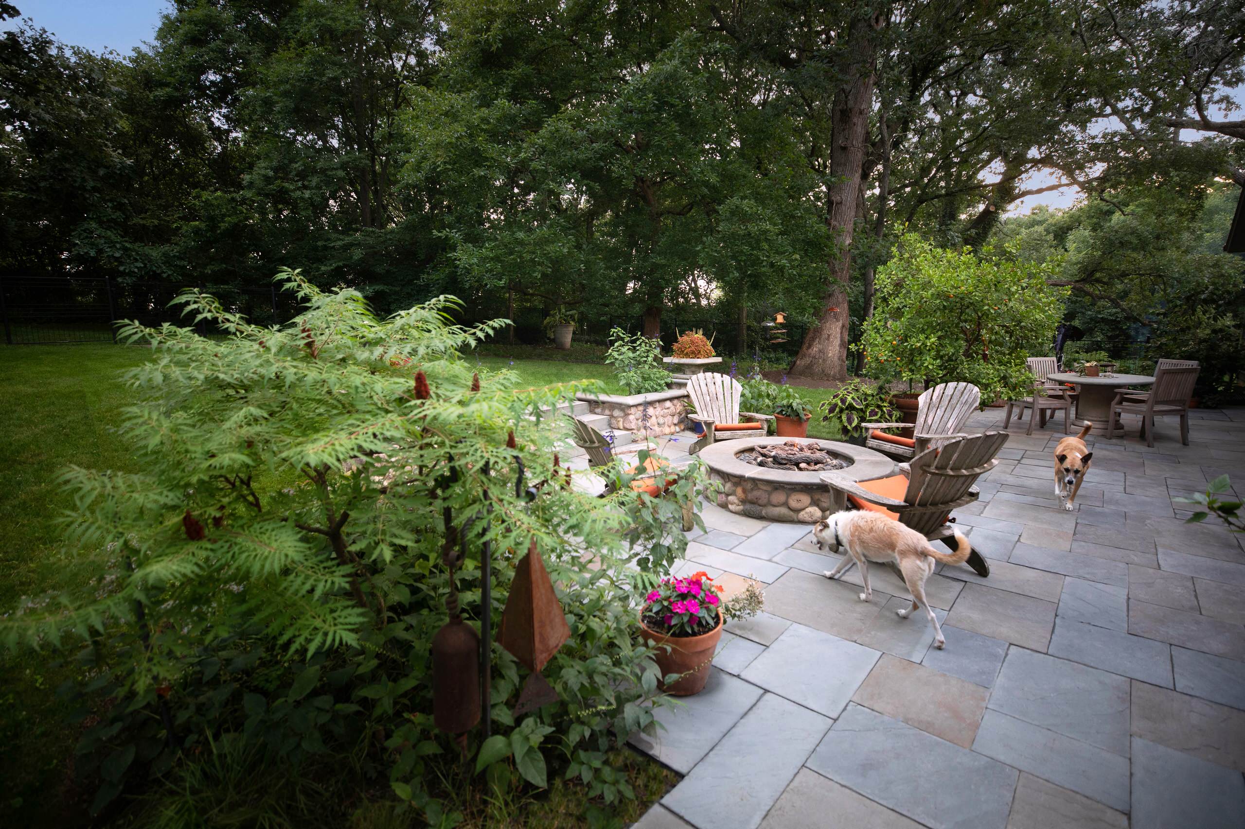 Yard of the Week: Native Prairies Inspire a Designer’s Landscape