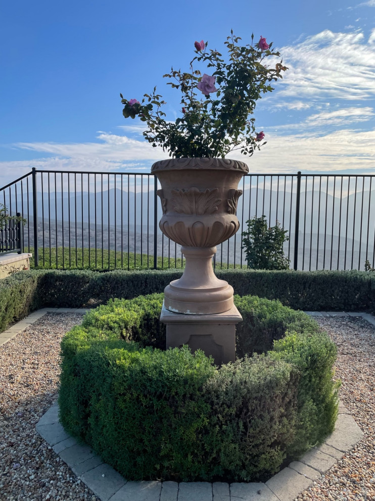 Specimen Rose Recommendation