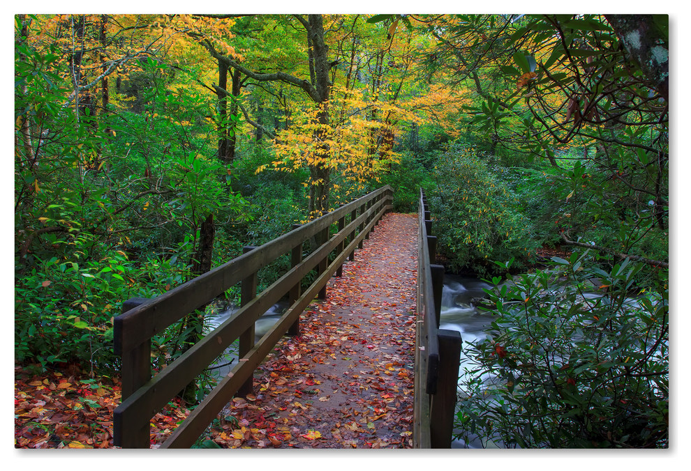 Bob Rouse 'Alum Cave Bridge' Canvas Art, 22"x32" - Contemporary ...