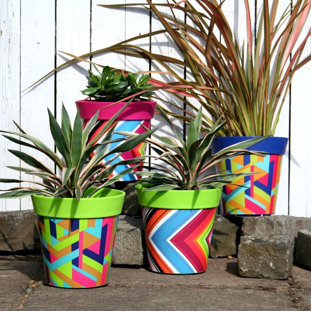 Best Pot Plants For Colour at Victoria Brownlee blog