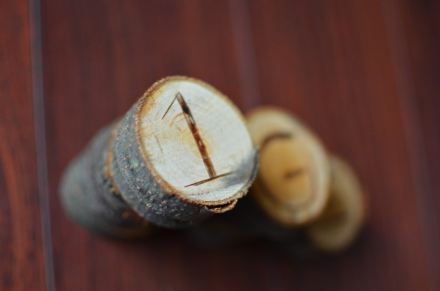 7 Ways to Upcycle a Fallen Tree