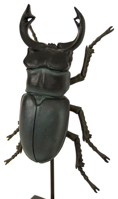 Stag Beetle On Stand, Large - Contemporary - Decorative Objects And ...