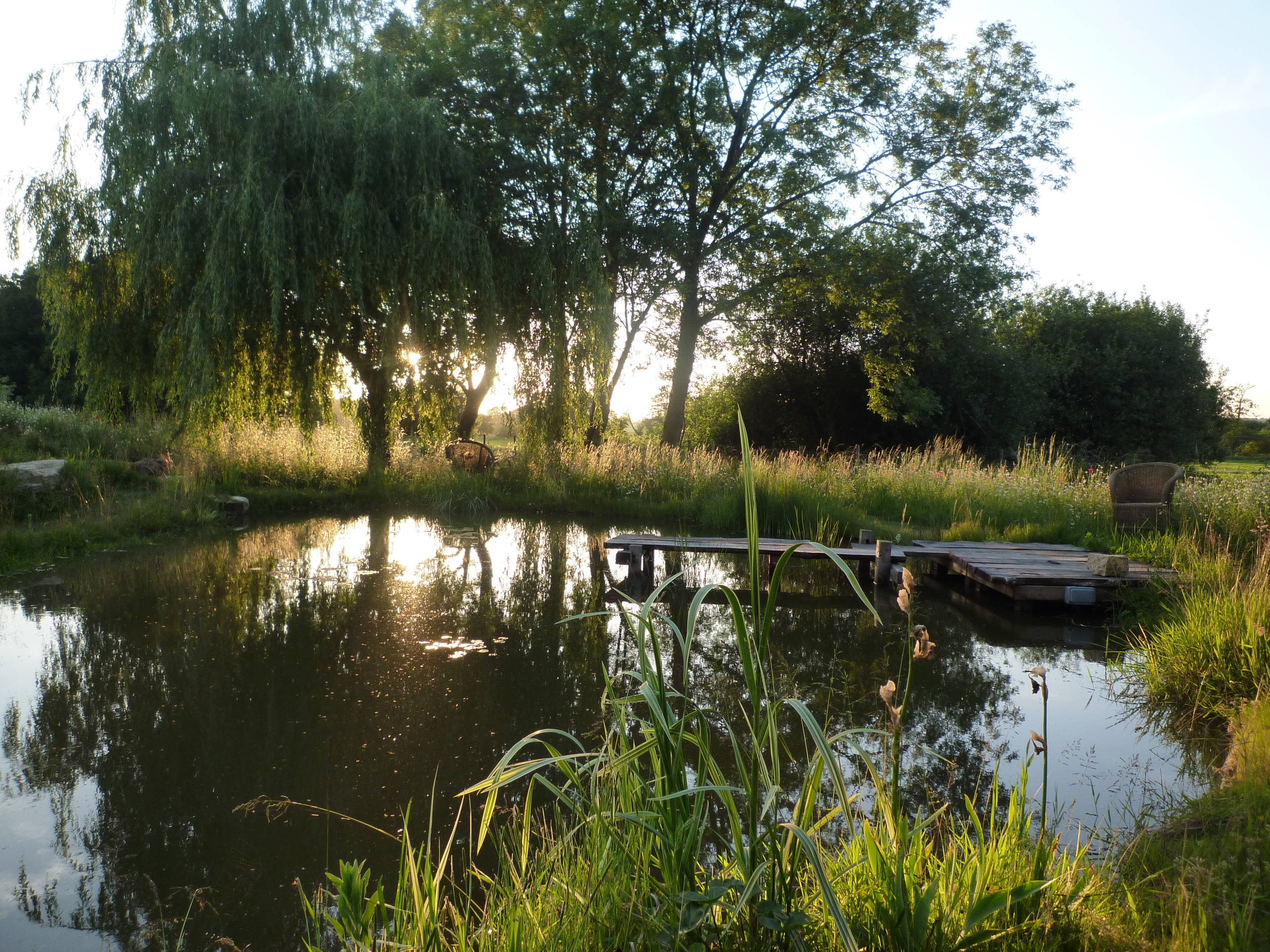 How to Design a Garden to Cope with Flood and Drought Conditions | Houzz UK