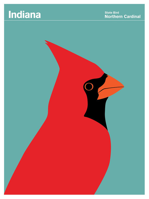 Indiana Northern Cardinal Print, 11" x 14" - Contemporary - Prints And ...