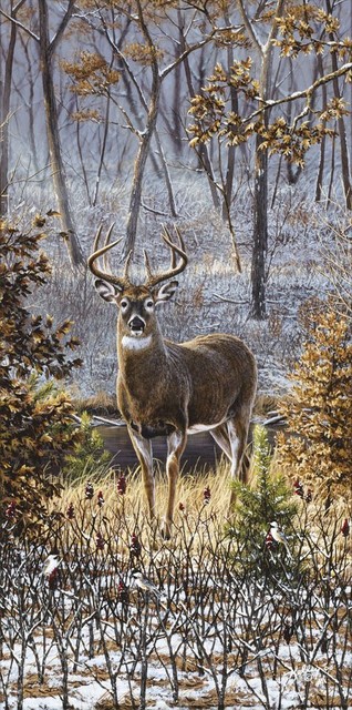 Whitetail Deer Wallpaper Murals