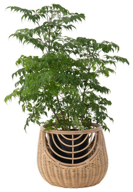 Spider Round Wicker Decorative Storage Basket, Natural - Tropical ...