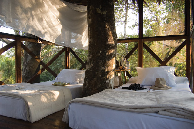 Dream Spaces: 11 Amazing Tree Houses That You Can Stay in | Houzz UK