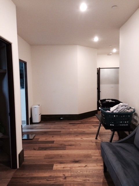 Design challenged --- long skinny room with weird angles!