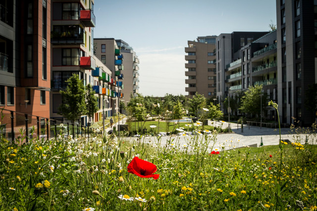 Affordable Housing in London Designed for Wellbeing | Houzz AU