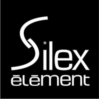 SILEX ÉLÉMENT - Project Photos & Reviews - Montréal, QC CA | Houzz