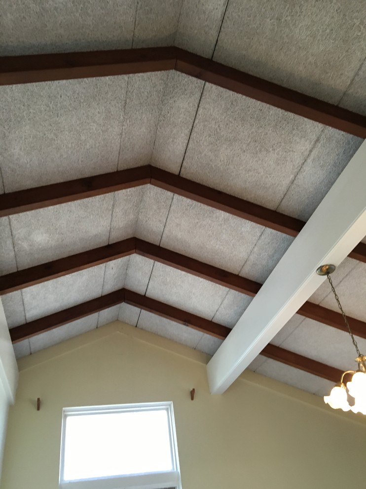 Crazy Roof needs urgent help