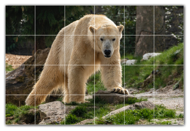 Bear Ceramic Tile Wall Mural HZ500128, 72" Wide x 48" High - Rustic ...