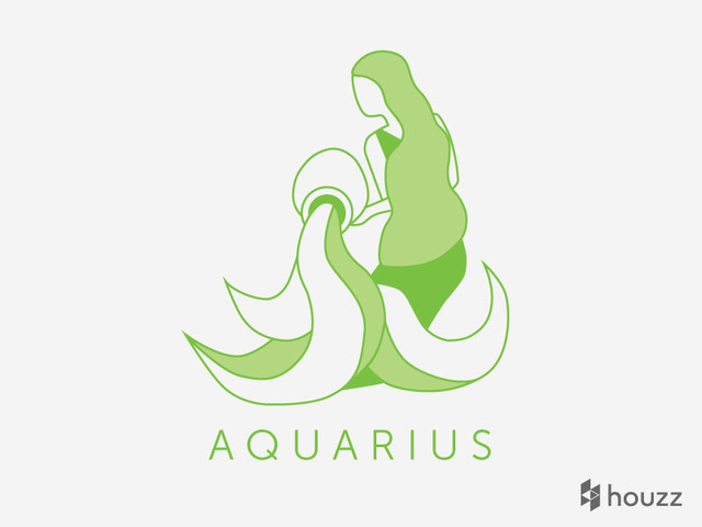 Designing With the Stars: Aquarius | Houzz NZ