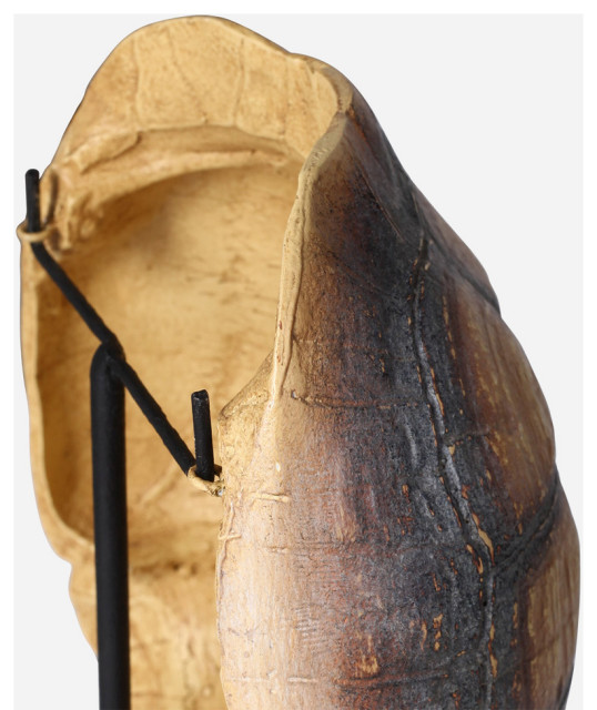 Faux Yellow Footed Tortoise Shell on Stand - Contemporary - Decorative ...