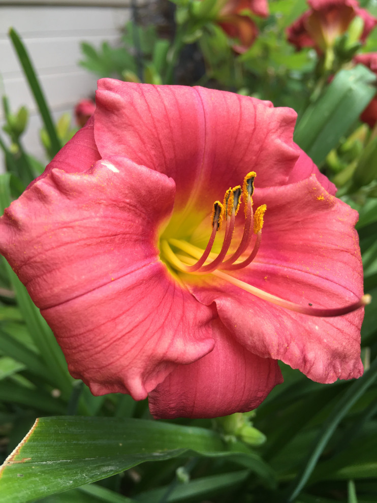 Show Us Your Beautiful Spring Views