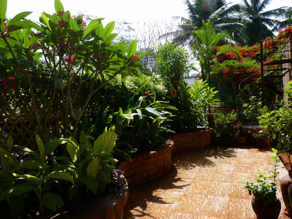 Lakshmi's Tropical Terrace Garden - Tropical - Deck - Bengaluru - by ...
