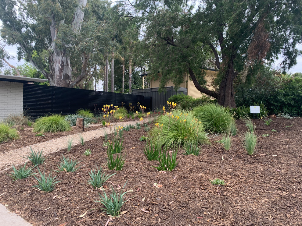 Urrbrae | Front Garden | Courtyard Garden | Native Garden - Midcentury ...