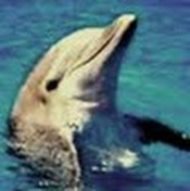 OTTOKEE ACRES - Project Photos & Reviews - Wauseon, OH US | Houzz