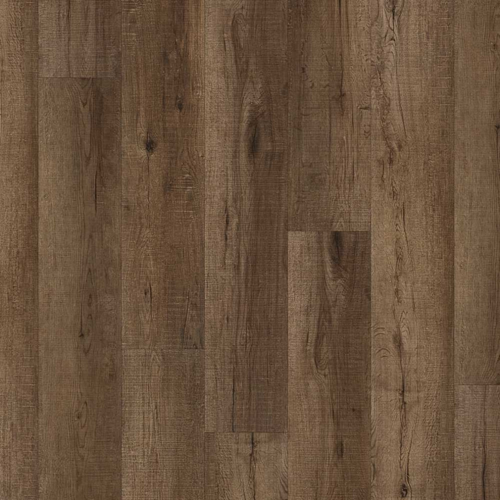 COREtec PRO Plus Chandler Oak 50RLV1011 SPC Vinyl Flooring Sample ...
