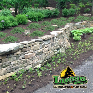 LUCAS LANDSCAPING & TURF FARM - Project Photos & Reviews - Oakland, MD ...