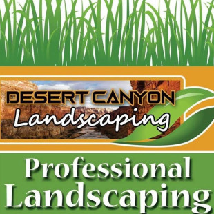DESERT CANYON LANDSCAPING - Project Photos & Reviews - Las Vegas, CA US ...
