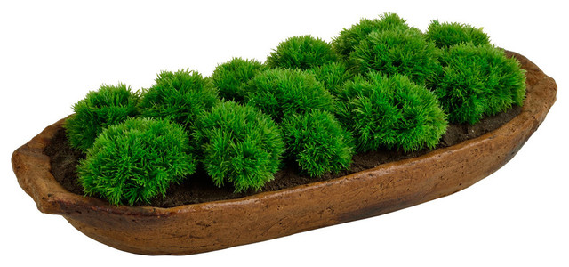 Decorative Moss and Planter - Great Design Element For Your Home ...