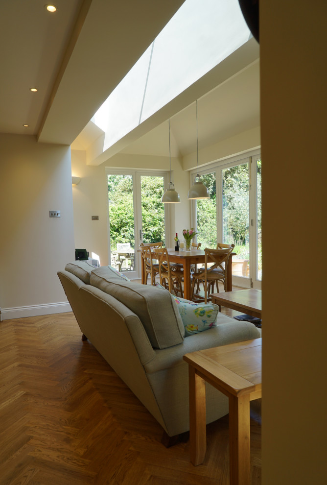 Dolly - Rear Extension Design & Build with Hand Painted Framed Bespoke ...