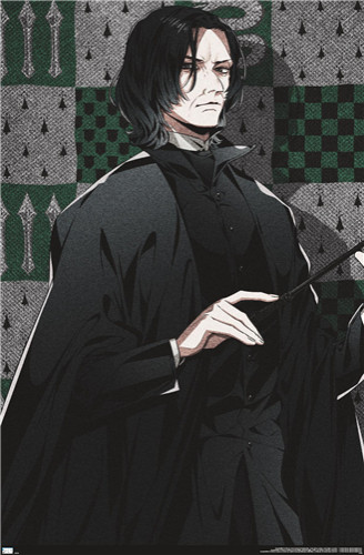 The Wizarding World: Harry Potter - Dynasty Snape, 14.725" x 22.375 ...