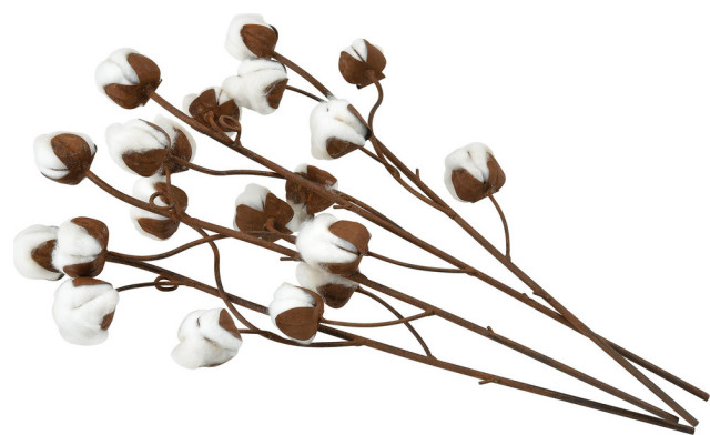 Graceland Cotton Sculpture, Large - Farmhouse - Decorative Objects And ...