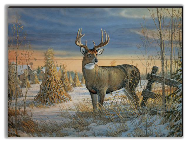 Wall Art, Whitetail Deer, Winter, 40"x30" - Rustic - Prints And Posters ...